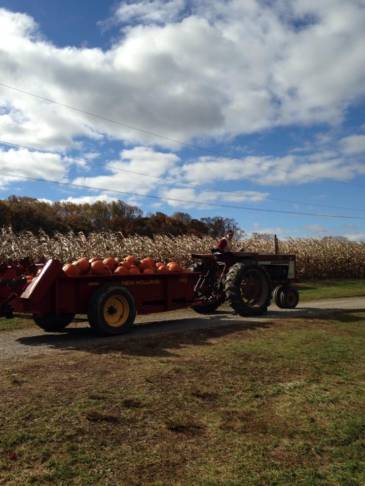 Lytle's Farm – Corn maze, Pumpkin Patch and More