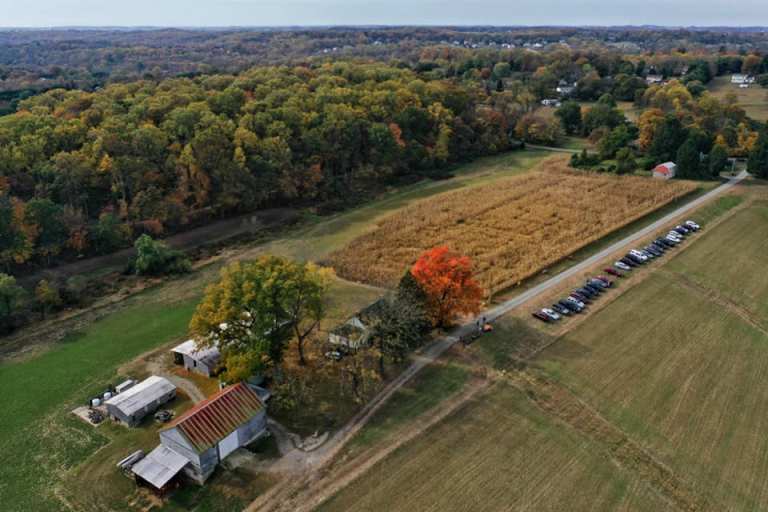 Lytle's Farm – Corn maze, Pumpkin Patch and More